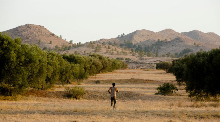 Harka (2022) - Film von Lotfy Nathan - tunesienbuch.de